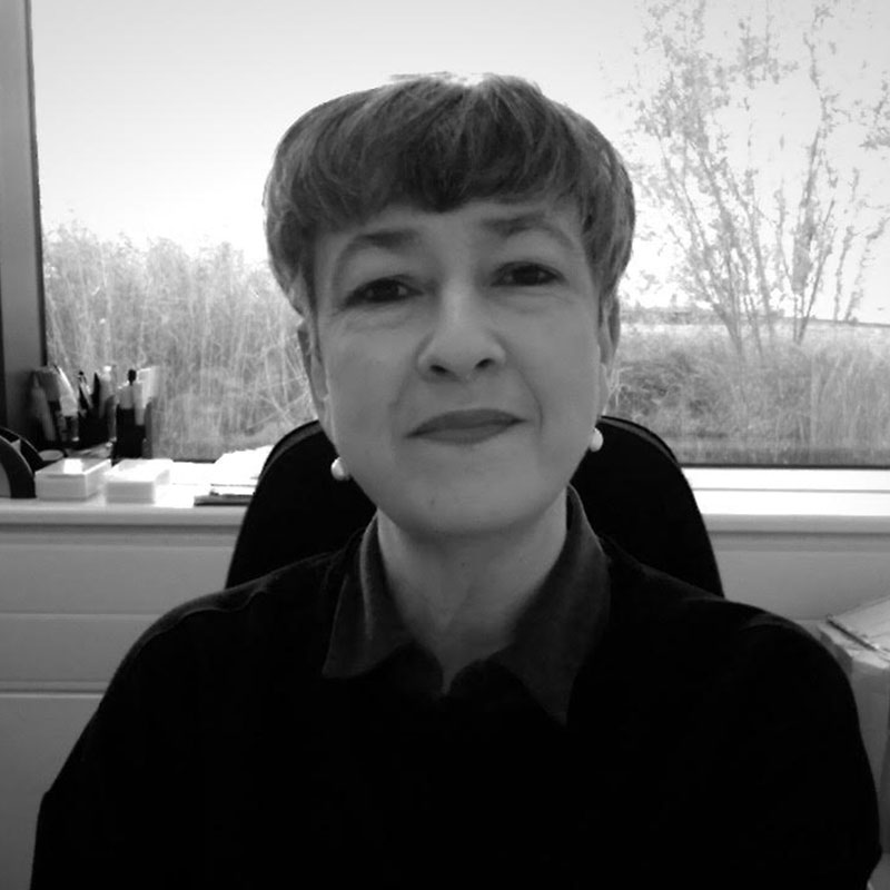 Jane Stanton-Wilson - Newport Forty Years On